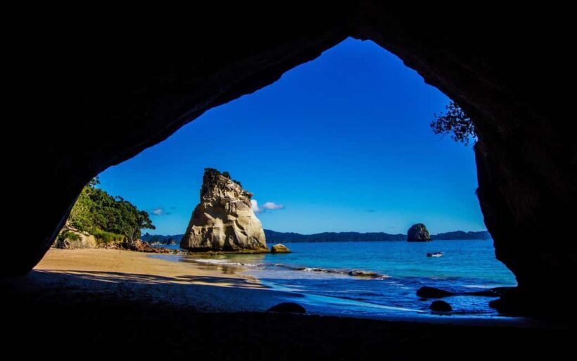 From Auckland: Cathedral Cove & Hot Water Beach Tour - An Overview of the Experience