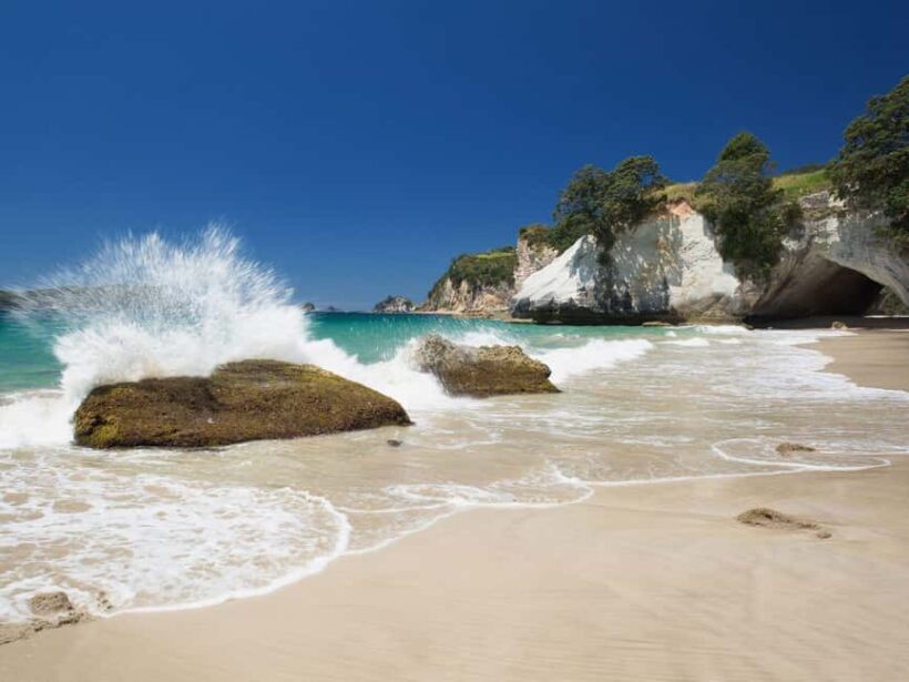 From Auckland: Cathedral Cove & Hot Water Beach Tour - The Itinerary in Detail