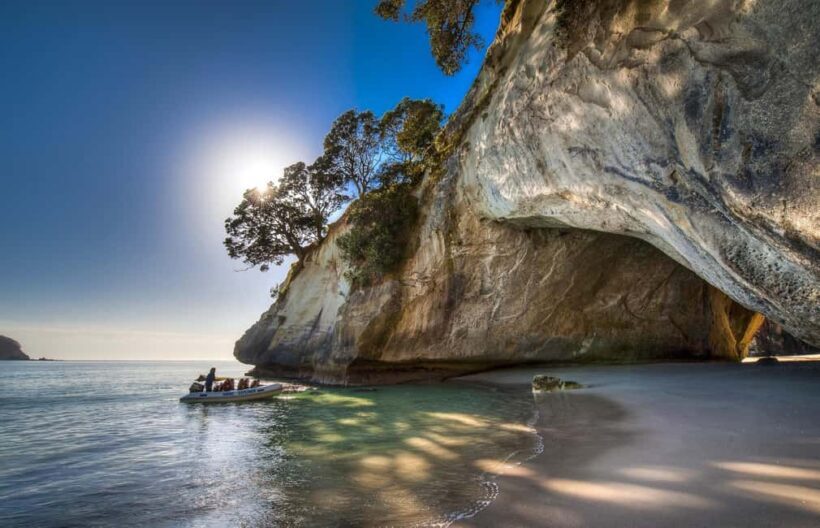 From Auckland: Cathedral Cove & Hot Water Beach Tour - What’s Included and What’s Not