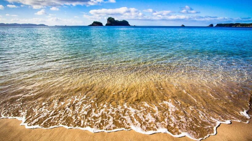 From Auckland: Cathedral Cove & Hot Water Beach Tour - Practical Tips for Travelers