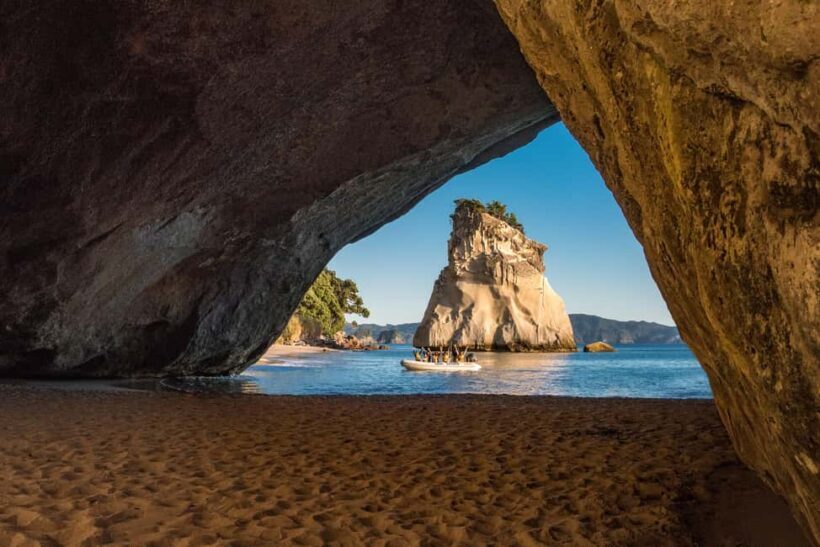 From Auckland: Cathedral Cove & Hot Water Beach Tour - Is This Tour Right for You?