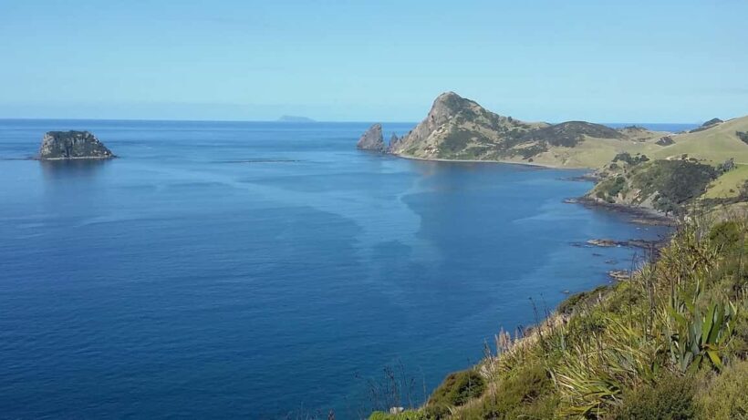 From Auckland: Cathedral Cove & Hot Water Beach Tour - Final Thoughts