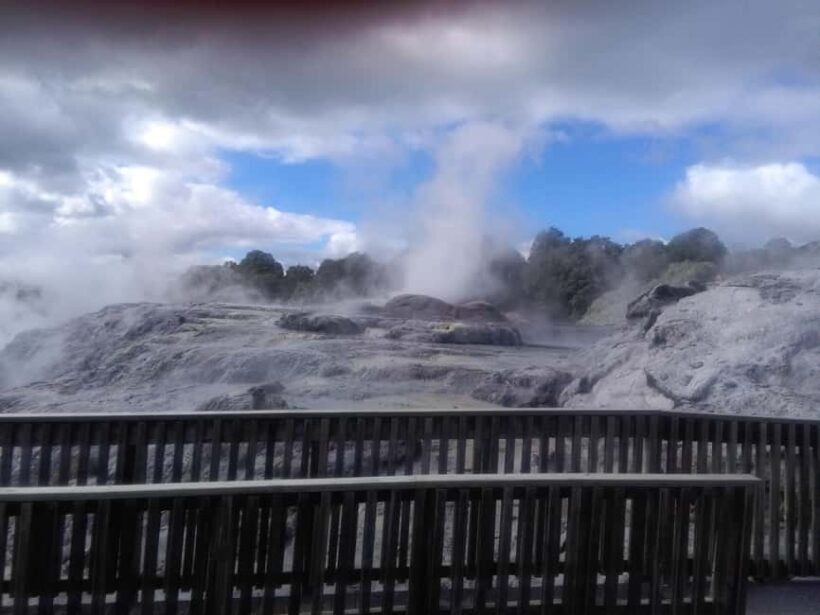 From Auckland: Day Trip to Rotorua with Optional extras - Key Points