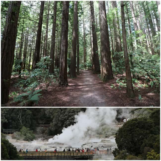 From Auckland: Day Trip to Rotorua with Optional extras - Setting Your Expectations for the Rotorua Day Trip