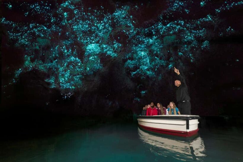 From Auckland: Day Trip to Waitomo Glow Worm Caves - Key Points