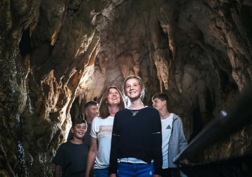 From Auckland: Day Trip to Waitomo Glow Worm Caves - The Serene Boat Ride: Gliding Beneath the Stars