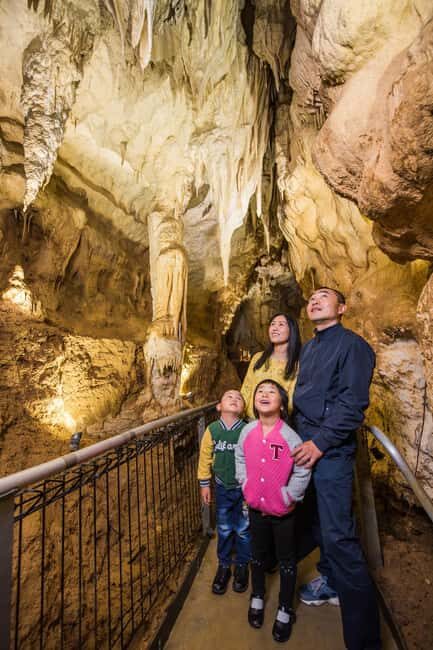 From Auckland: Day Trip to Waitomo Glow Worm Caves - Who Would Enjoy This Tour?