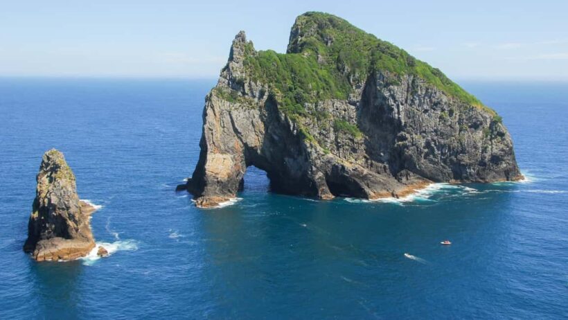 From Auckland: Full Day Private Tour to the Bay of Islands - Analyzing the Cost and Value