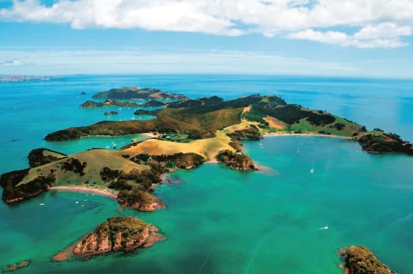 From Auckland: Full-Day Tour to the Bay of Islands - Key Points