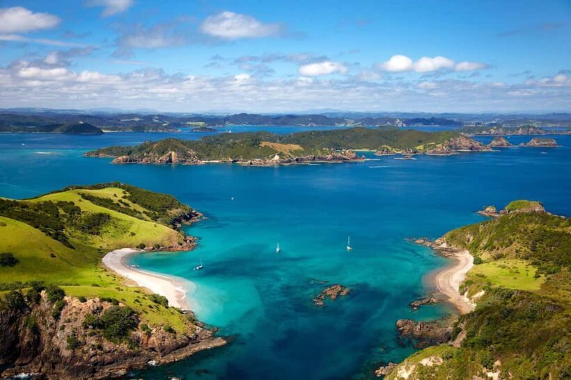 From Auckland: Full-Day Tour to the Bay of Islands - The Value of the Experience
