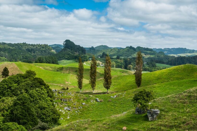 From Auckland: Hobbiton and Waitomo Day Tour with Lunch - Starting Off: Convenient Pickup and Scenic Transfer