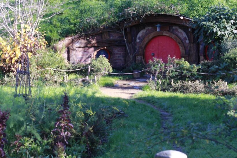 From Auckland: Hobbiton & Rotorua Tour with Lunch at Te Puia - Hobbiton Movie Set: A Shutterbug’s Paradise