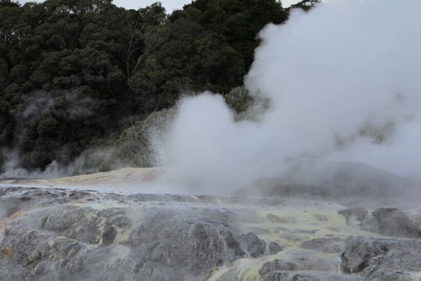 From Auckland: Hobbiton & Rotorua Tour with Lunch at Te Puia - Scenic Drive: En Route to Rotorua