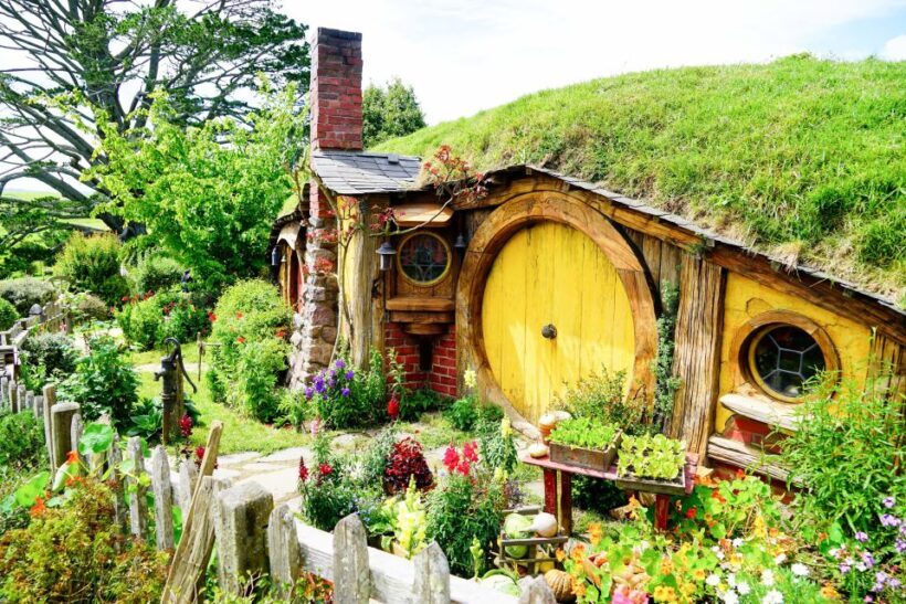From Auckland: Hobbiton & Rotorua Tour with Lunch at Te Puia - What to Keep in Mind