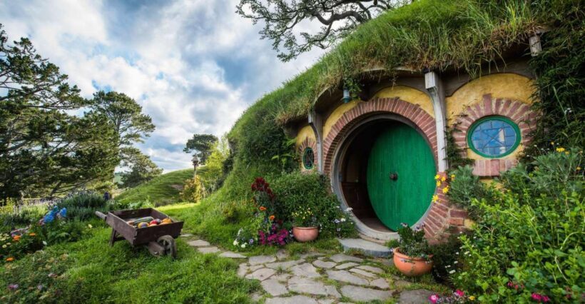 From Auckland: Lord Of The Rings Hobbiton Day Tour - An Introduction to the Hobbiton Experience