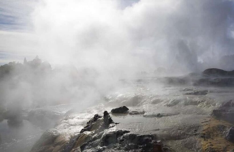 From Auckland: Rotorua Mori Village & Activity Combinations - The Bottom Line: Who Should Consider This Tour?