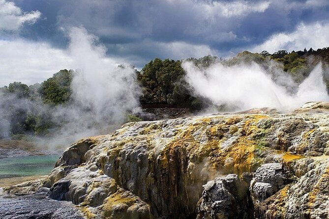 From Auckland: Rotorua Mori Village & Hot Springs with Haka - A Detailed Look at the Rotorua Maori Village & Hot Springs Tour