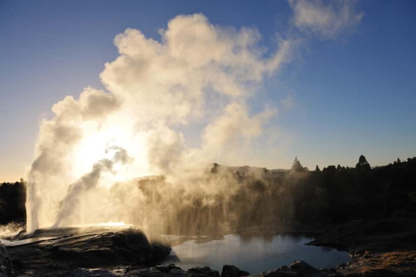 From Auckland: Rotorua Te Puia, Haka & Polynesian Spa Tour - A Detailed Look at the From Auckland: Rotorua Te Puia, Haka & Polynesian Spa Tour