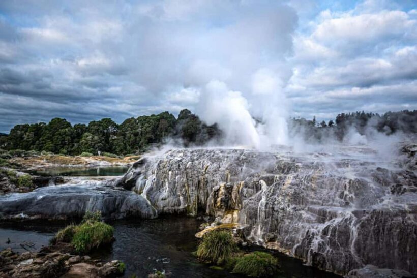 From Auckland: Rotorua Te Puia, Haka & Polynesian Spa Tour - Final Thoughts: Who Will Love This Tour?