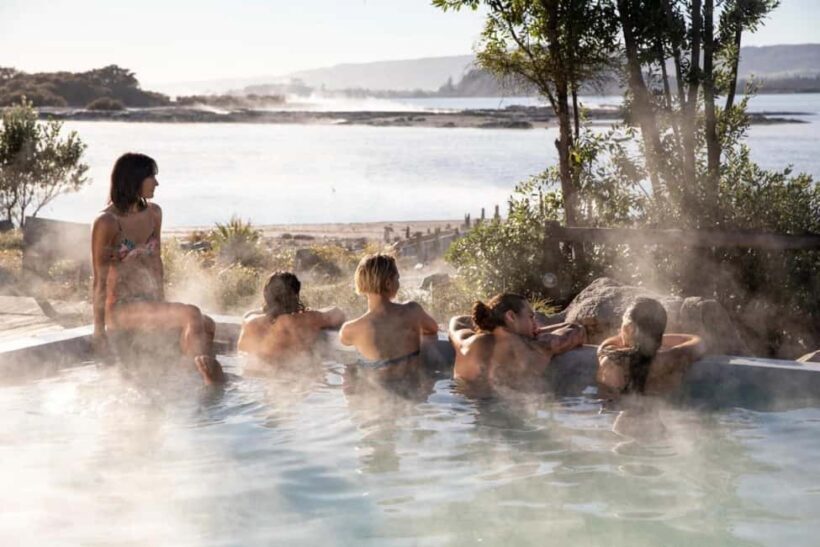 From Auckland: Rotorua Te Puia, Haka & Polynesian Spa Tour - Final Words