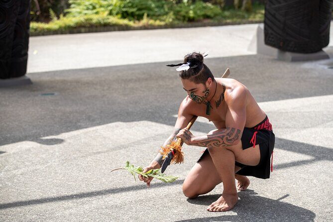 From Auckland : Rotorua Tepuia Tour with Haka and Hangi Lunch - Who Will Love This Tour?