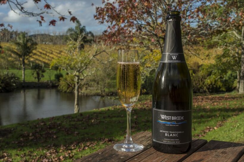 From Auckland: Small Group Kumeu Wine Tour with Lunch - Key Points