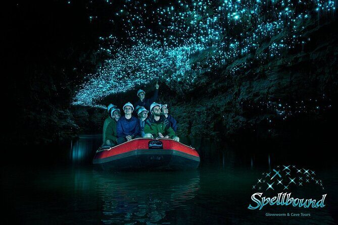 From Auckland : Spellbound Glow Worm Twin Caves Private Tour - Discovering the Spellbound Glow Worm Twin Caves Private Tour: An In-Depth Review