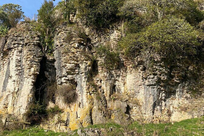 From Auckland : Spellbound Glow Worm Twin Caves Private Tour - Things to Consider