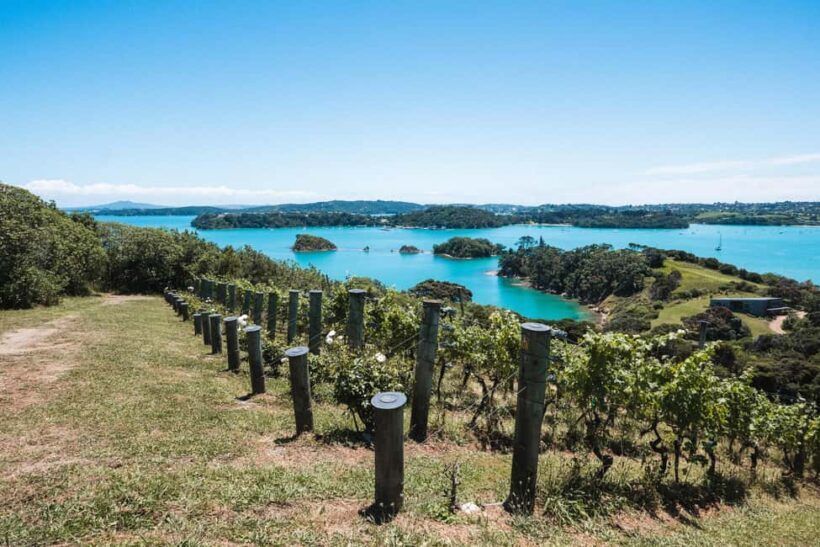 From Auckland: Waiheke Island Sip & Savour Tour with Lunch - The Lunch Experience: Relaxed and Delicious