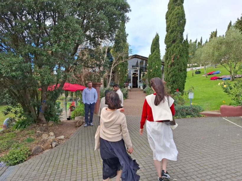 From Auckland: Waiheke Island Wine Cellar Tour - Practical Considerations