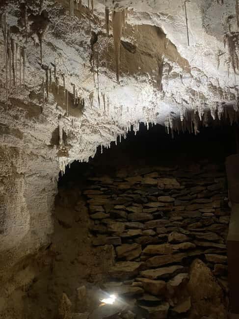 From Auckland: Waitomo Caves and Kiwi House Group Tour - Key Points