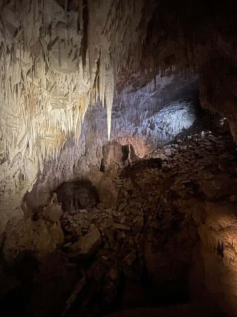 From Auckland: Waitomo Caves and Kiwi House Group Tour - A Day of Natural Wonder: What the Tour Offers