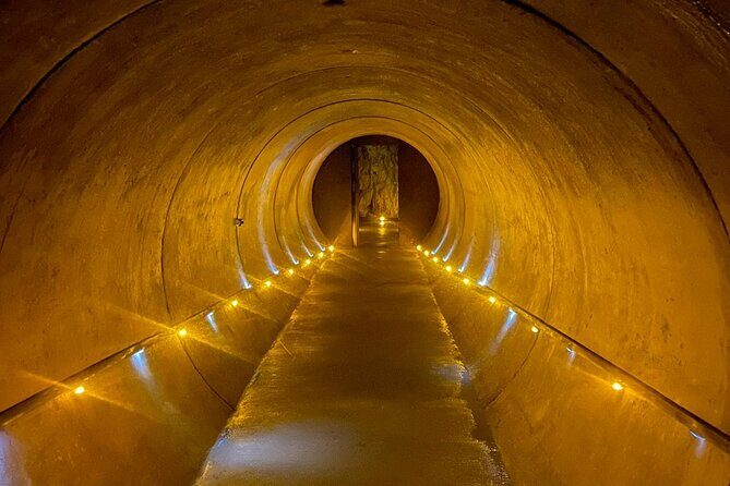 From Auckland: Waitomo Caves and Kiwi House Small Group Tour - Practical Tips for Travelers