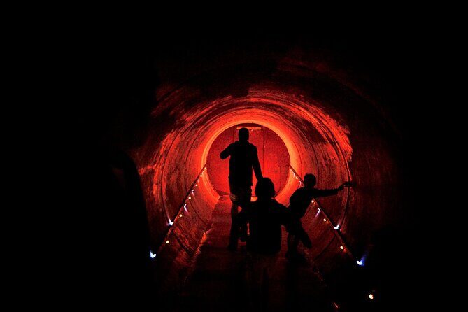 From Auckland: Waitomo Caves and Kiwi House Small Group Tour - FAQ