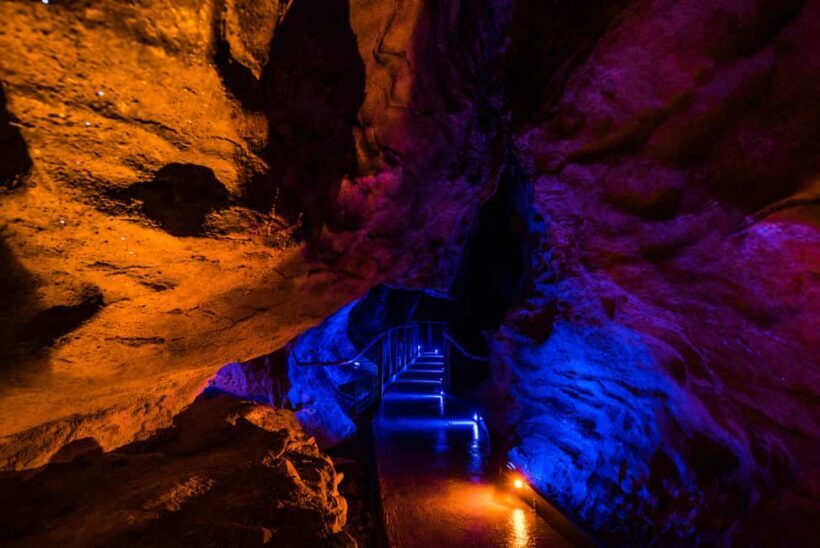 From Auckland: Waitomo Glowworm and Ruakuri Caves Day Tour - Deep Dive into the Cave Highlights