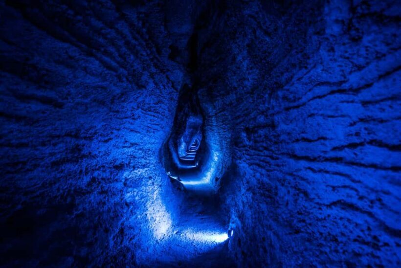 From Auckland: Waitomo Glowworm and Ruakuri Caves Day Tour - Authentic Traveler Feedback