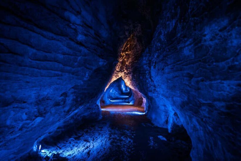 From Auckland: Waitomo Glowworm and Ruakuri Caves Day Tour - The Sum Up