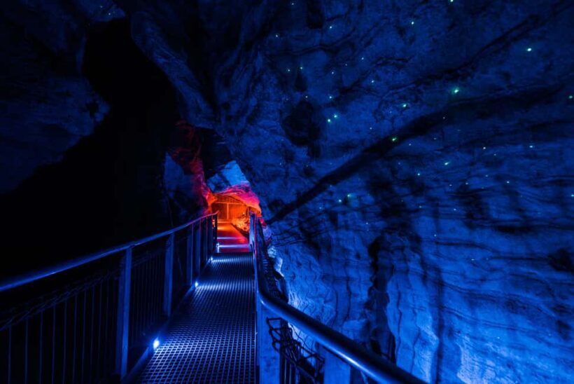 From Auckland: Waitomo Glowworm and Ruakuri Caves Day Tour - FAQ