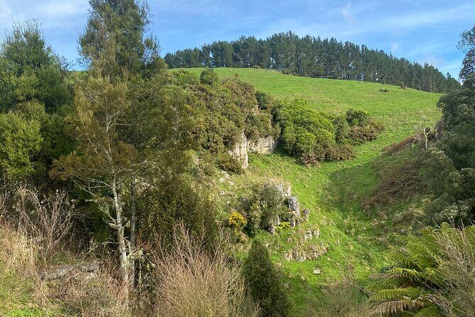 From Auckland: Waitomo Glowworm & Cave Explorer Small Group Tour - The Sum Up