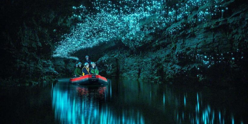 From Auckland: Waitomo Glowworm Cave Tour - Introduction: An Enchanting Underground Experience