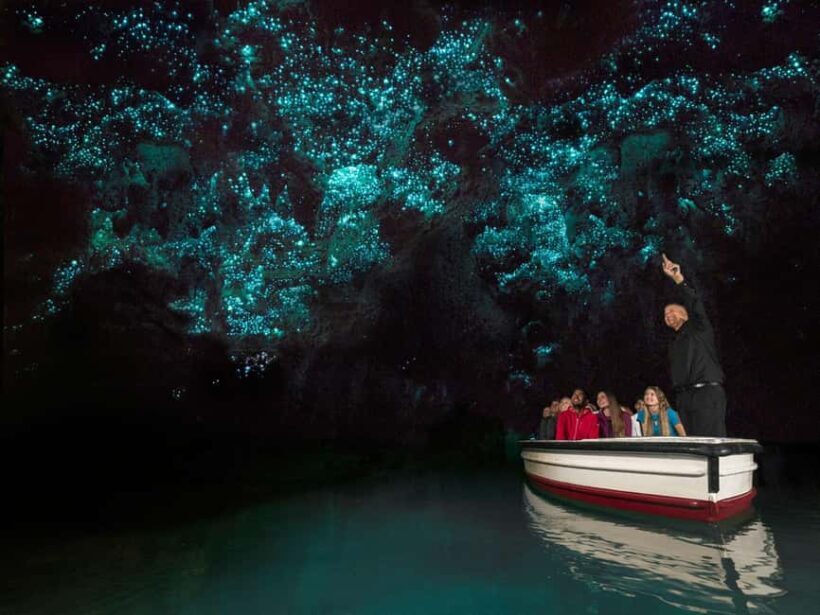 From Auckland: Waitomo Glowworm Cave Tour - The Value of the Experience