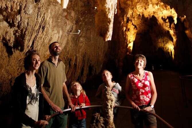 From Auckland:Hobbiton Movie Set & Waitomo Caves Small Group Tour - A Practical Introduction to Your Day Out