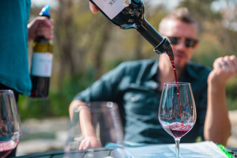 From Austin: Half-Day Hill Country Wine Shuttle - An Authentic, Well-Organized Wine Adventure