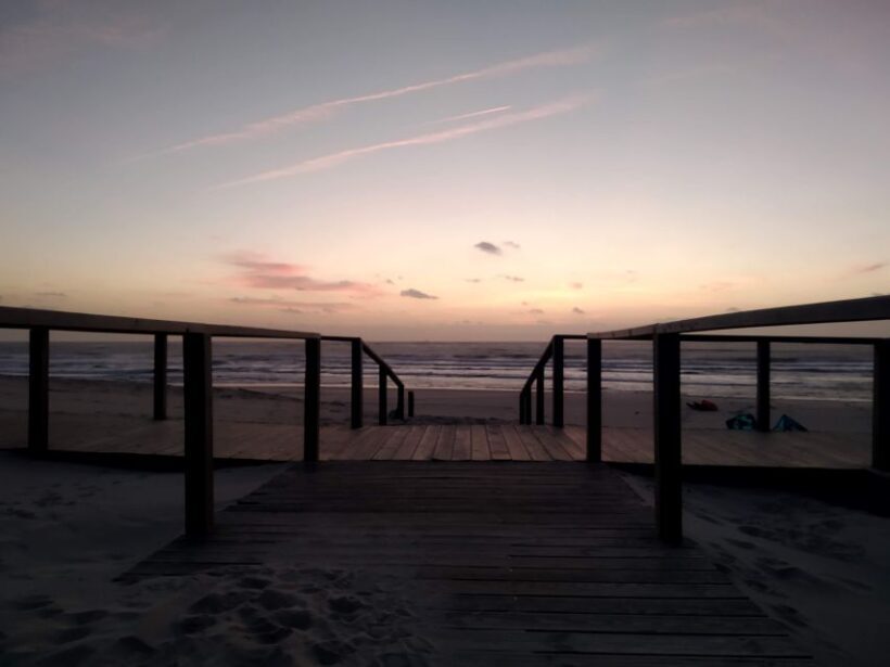 From Aveiro: Barra Beach Lighthouse & Costa Nova Guided Tour - Who Should Consider This Tour?