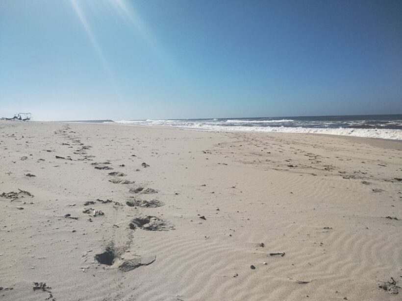 From Aveiro: Barra Beach Lighthouse & Costa Nova Guided Tour - Final Thoughts