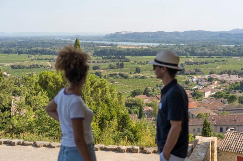 From Avignon: Châteauneuf du Pape Half-Day Wine Tour - What Sets This Tour Apart?