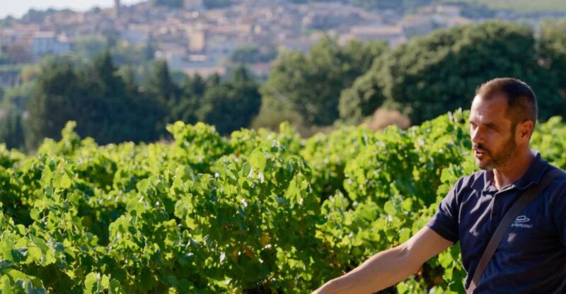 From Avignon: Châteauneuf du Pape Half-Day Wine Tour - Potential Drawbacks and Considerations