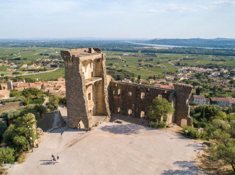 From Avignon: Châteauneuf du Pape Half-Day Wine Tour - Who Should Consider This Tour?