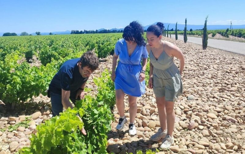 From Avignon: Châteauneuf du Pape Half-Day Wine Tour - FAQ