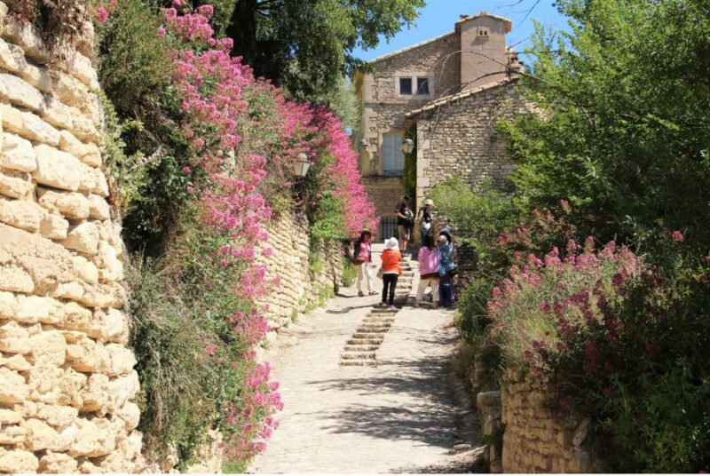 From Avignon: Half-Day Baux de Provence and Luberon Tour - The Experience of the Guide and Group Dynamics